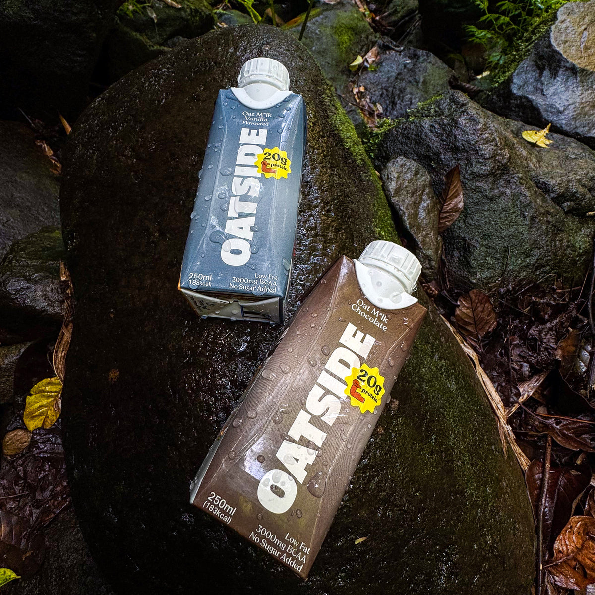 OATSIDE Vanilla Protein Oat Milk Drink 250ml x 24 – Oatside SG